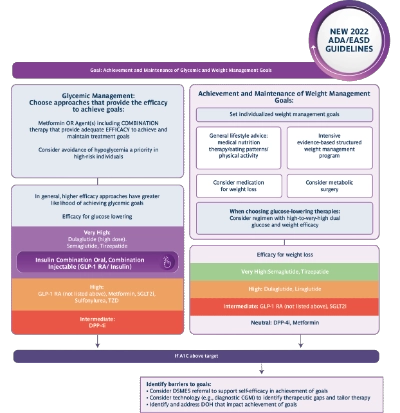 New 2022 ADA/EASD Guidelines: GLPP-1 RA/Insulin combination is very ...