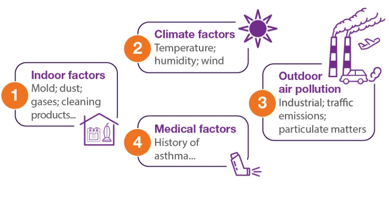 Management of Allergic Rhinitis Aggravated by Air Pollution