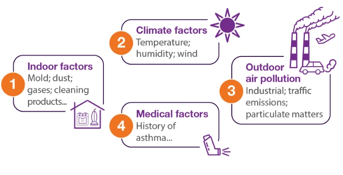 Management of Allergic Rhinitis Aggravated by Air Pollution