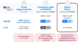 Guidelines Esc