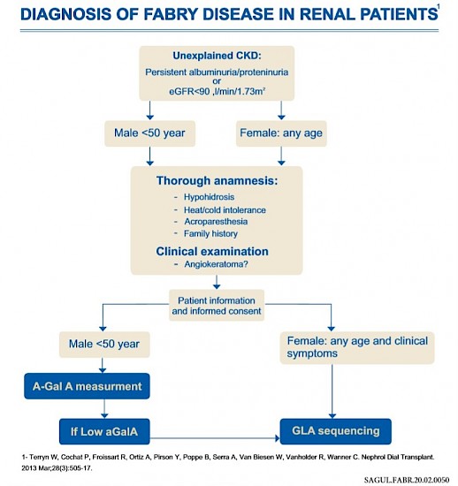 How to diagnose Fabry Disease
